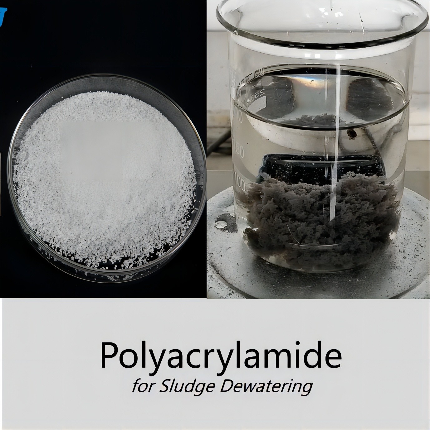 CPAM Cationic Polymer Polyacrylamide Untuk Flokulan Dewatering Sludge